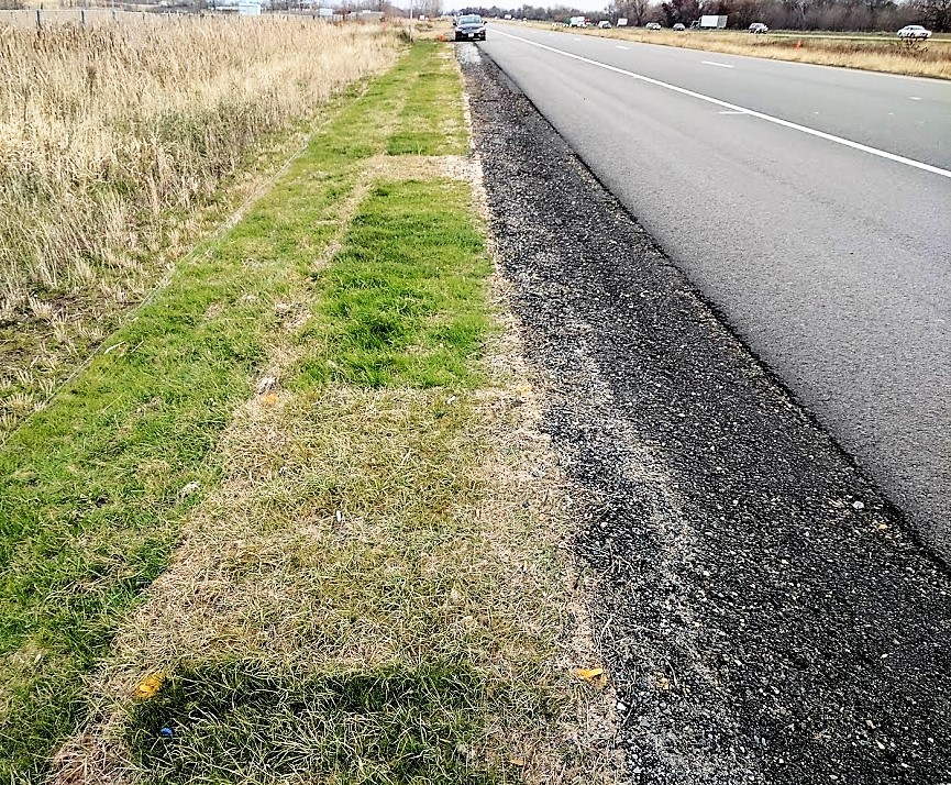 Performance Testing of Regional Roadside Turfgrass
